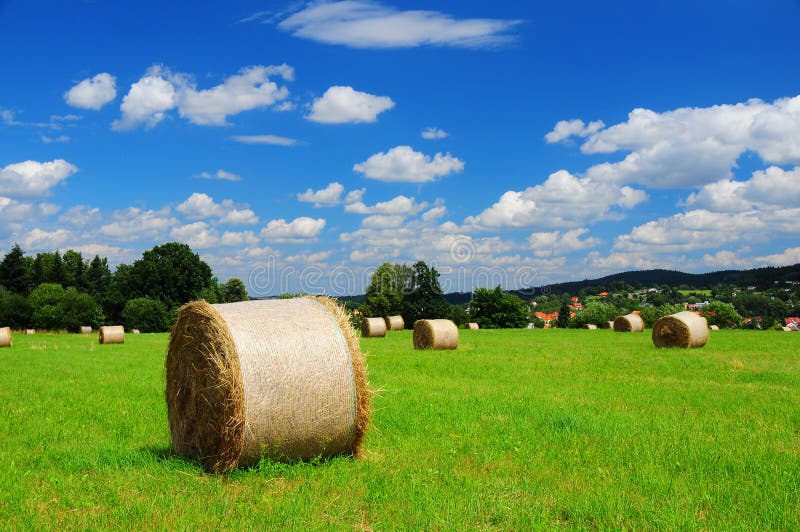 Beautiful summer day stock image. Image of crop, perfect - 6995869
