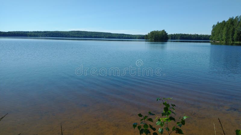 Beautiful Summer Day at the Lake Stock Photo - Image of nature ...