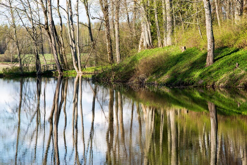Beautiful Summer Day at the Lake, Tree Reflections in Blue Water Stock ...