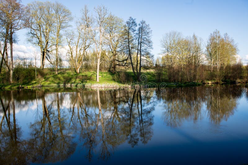 Beautiful Summer Day at the Lake, Tree Reflections in Blue Water Stock ...