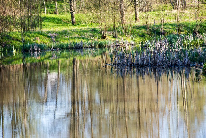 Beautiful Summer Day at the Lake, Tree Reflections in Blue Water Stock ...