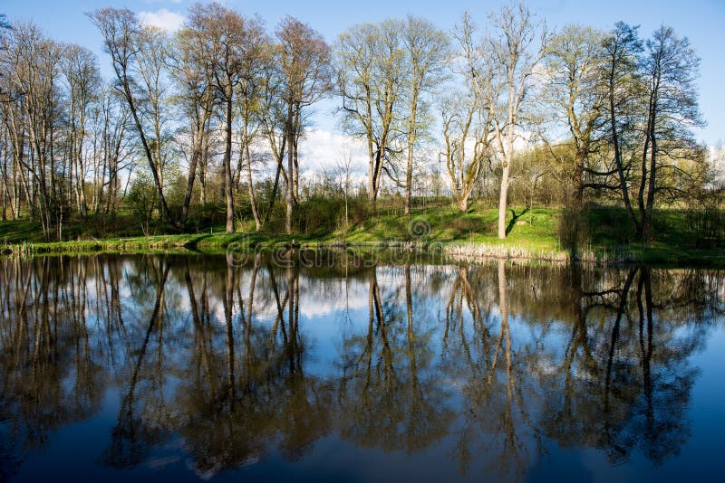 Beautiful Summer Day at the Lake, Tree Reflections in Blue Water Stock ...