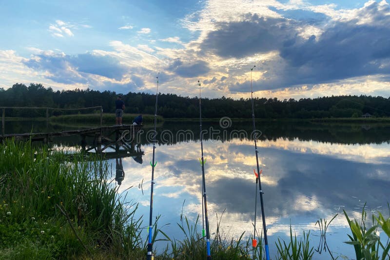 Beautiful Summer Evening on the Lake at Sunset, Summer Evening ...