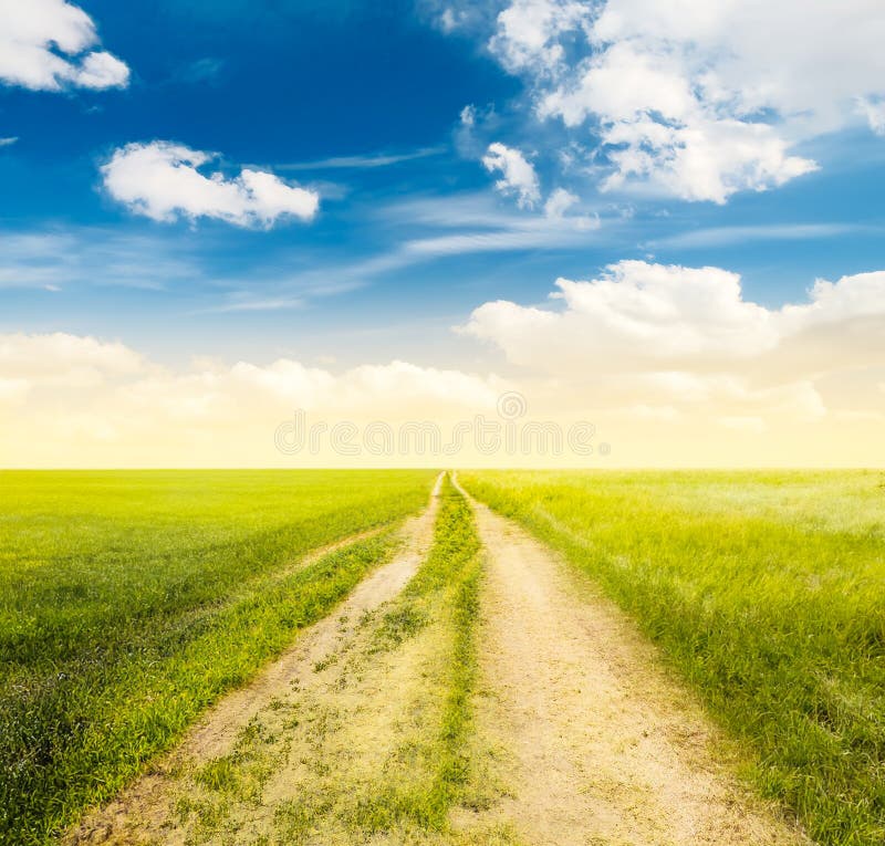 Beautiful summer fields stock image. Image of track - 236256693
