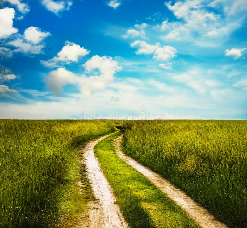 Beautiful summer fields stock photo. Image of pasture - 248570638