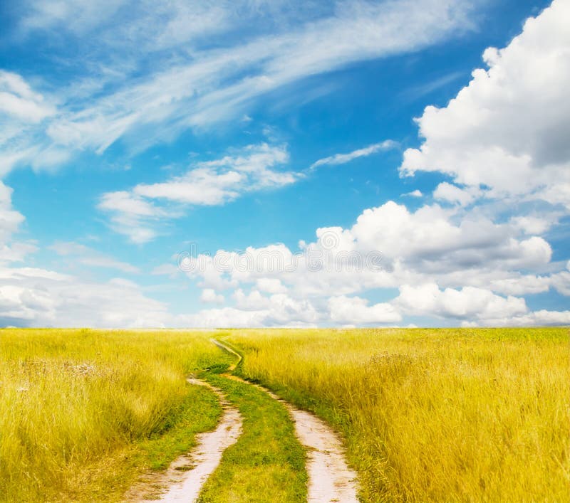 Beautiful summer fields stock photo. Image of meadow - 249995418