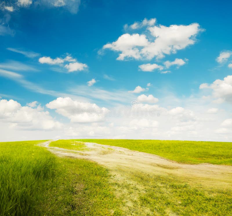 Beautiful summer fields stock image. Image of meadow - 254284937