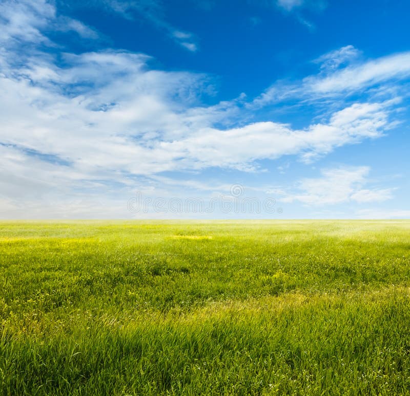 Beautiful summer fields stock image. Image of clouds - 239388871