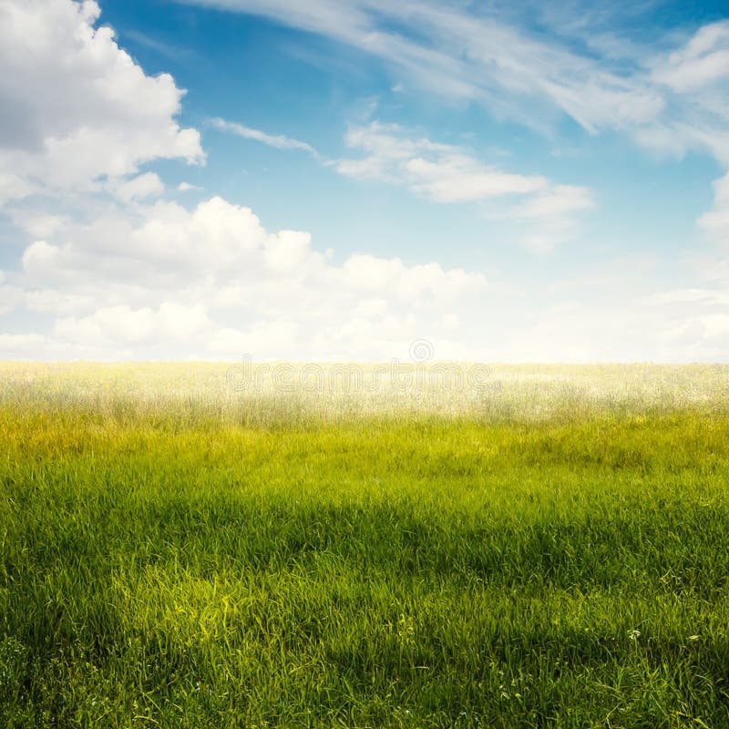 Beautiful summer fields stock image. Image of lawn, weather - 248257199