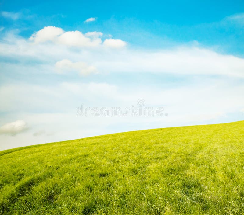 Beautiful summer fields stock photo. Image of nature - 251589922