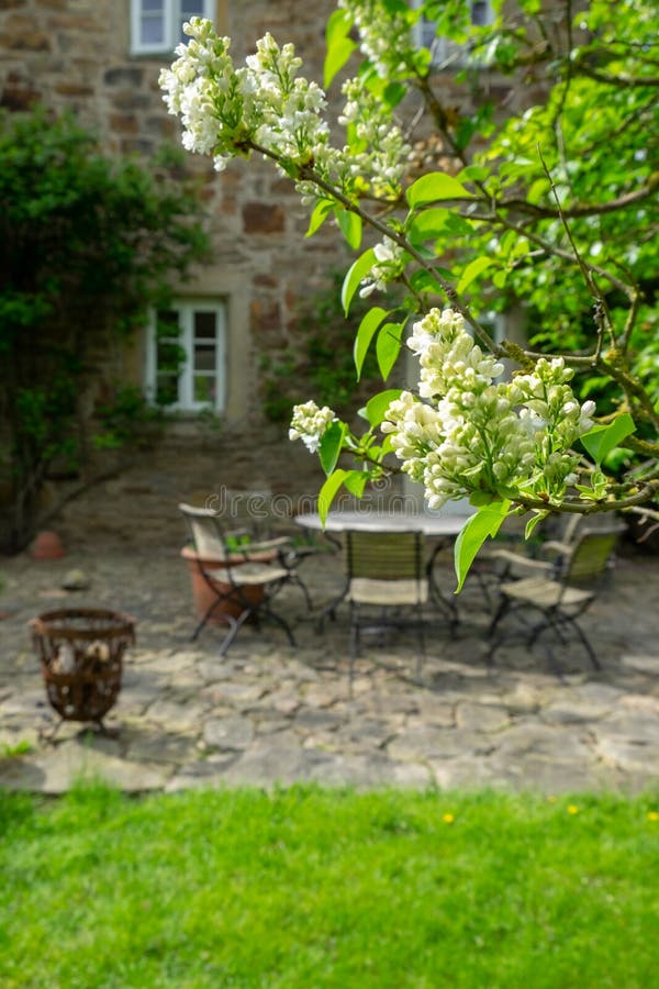 Beautiful Garden with Table and Chairs Stock Photo - Image of armchair ...