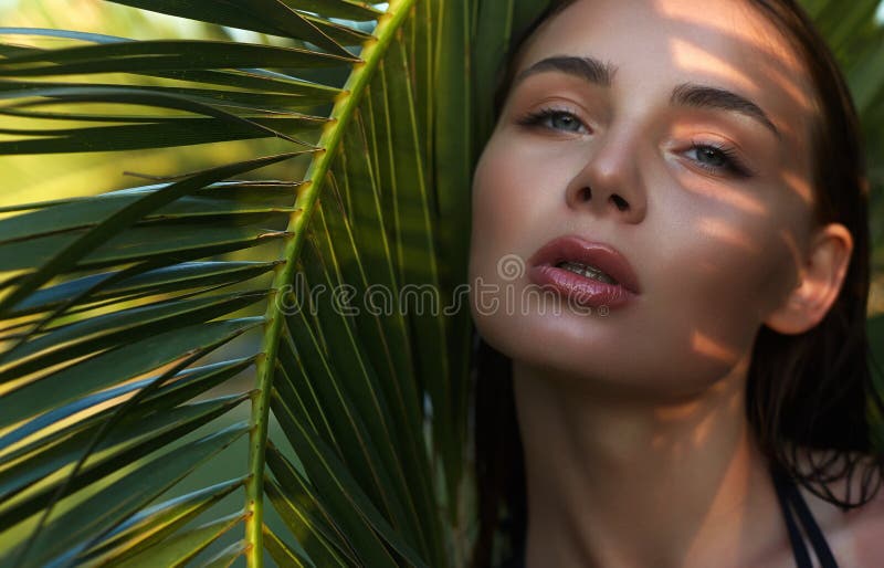 Beautiful Summer Girl In Sunset Young Woman Under Palm Tree Stock