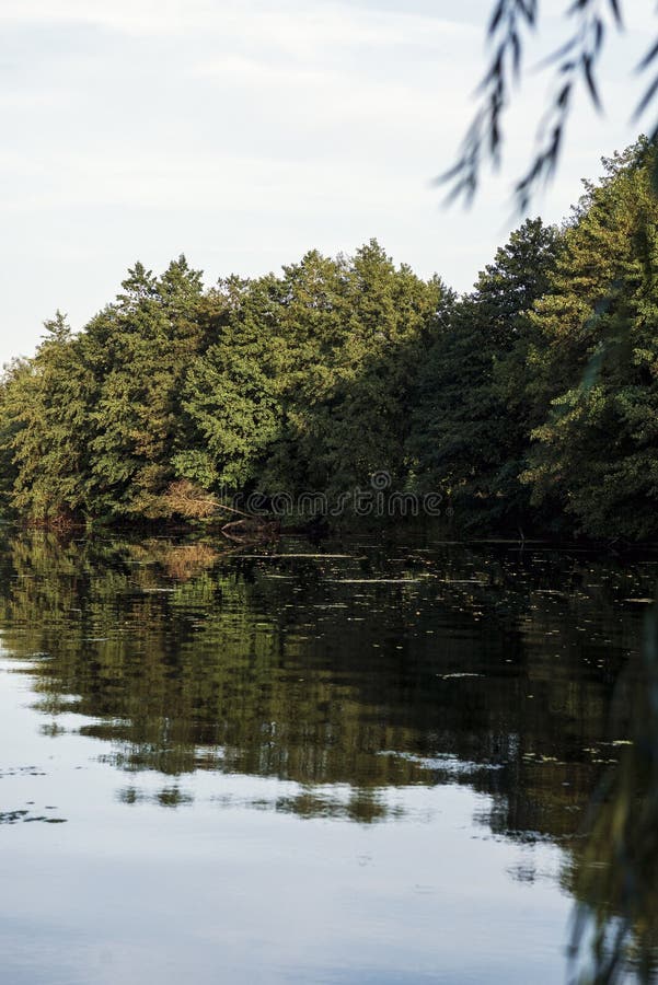 Beautiful Summer Lake, Trees Reflected in Water, with Calm Lake Surface ...