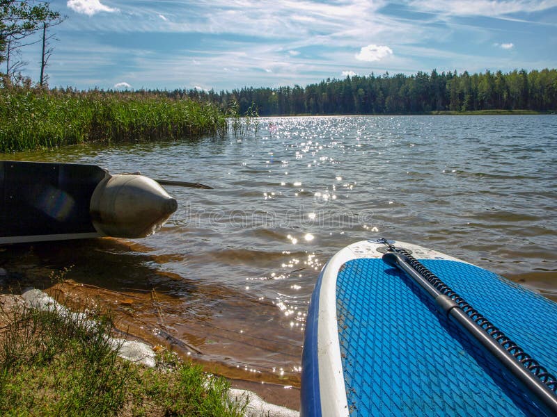 Top View of Stand with Ukraine Stock Photo - Image of plants, ukraine ...
