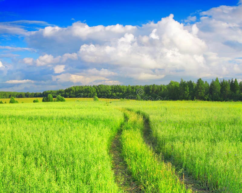Beautiful summer landscape stock photo. Image of sunny - 10803726