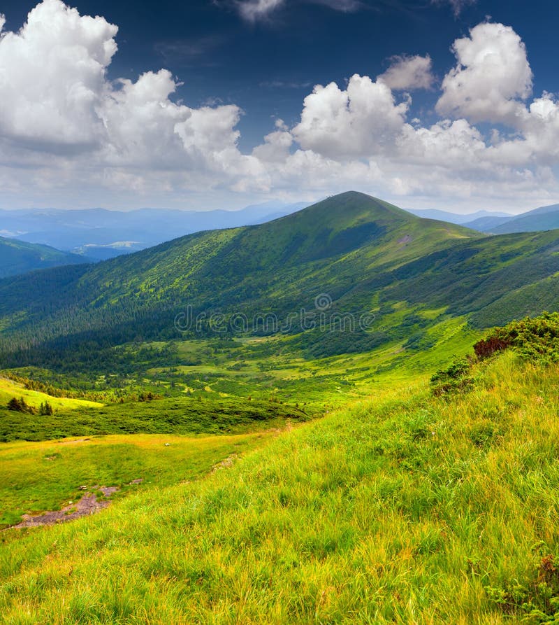 Beautiful summer landscape stock image. Image of bright - 23467647