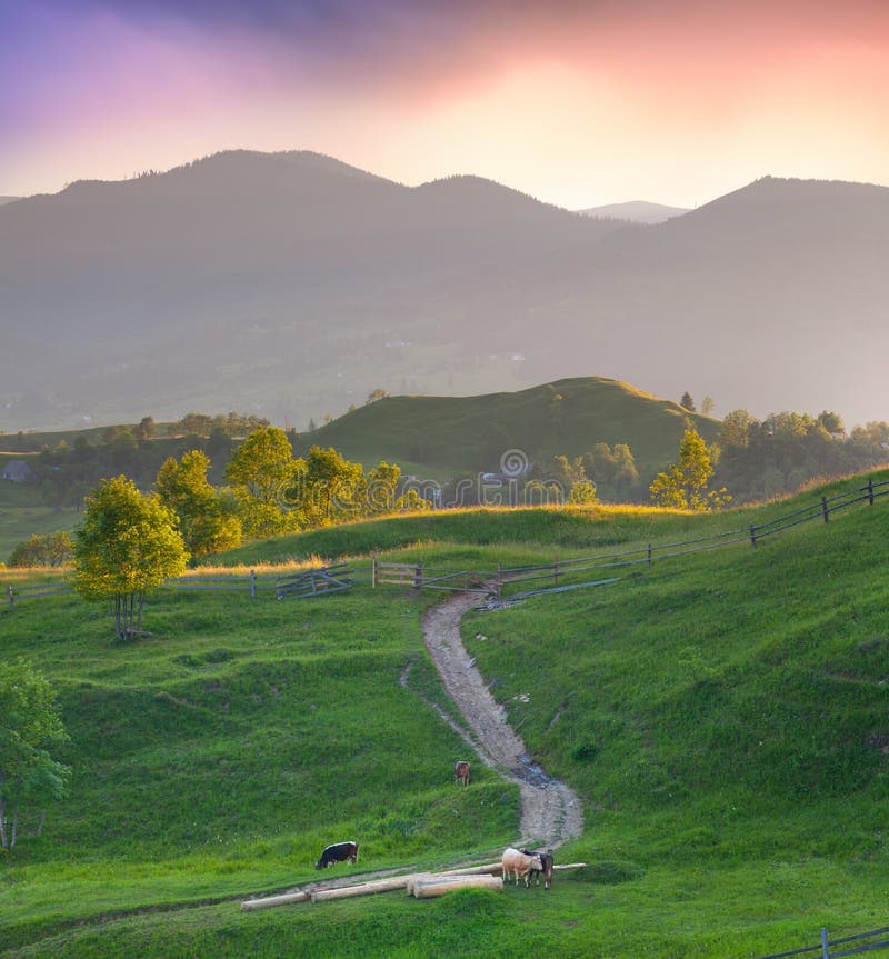 Beautiful summer landscape stock photo. Image of majestic - 26846584