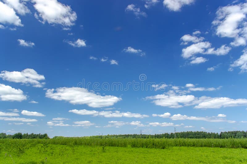 Beautiful Summer Landscape with Green Grass and Blue Sky with White ...
