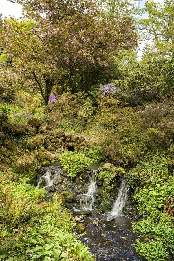 Beautiful Summer Landscape Image of Brook Flowing Over Rocks in Stock ...