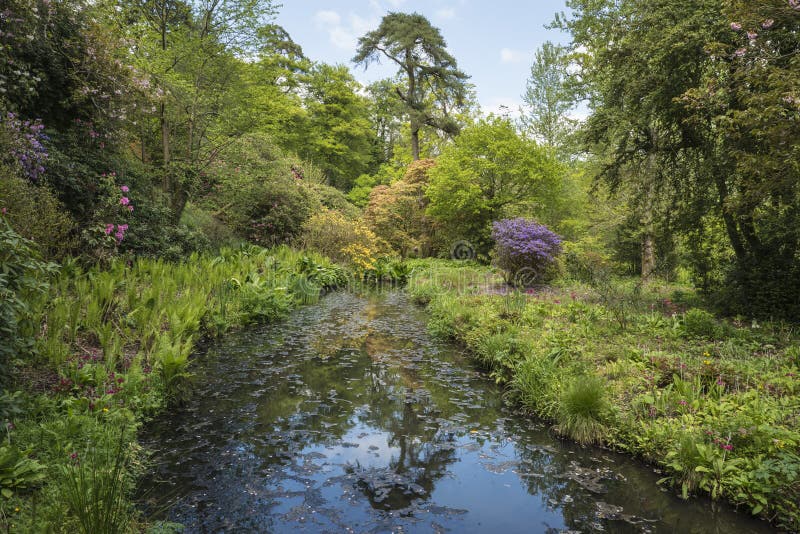 Beautiful Summer Landscape Image of Calm Pond with Reflections O Stock ...
