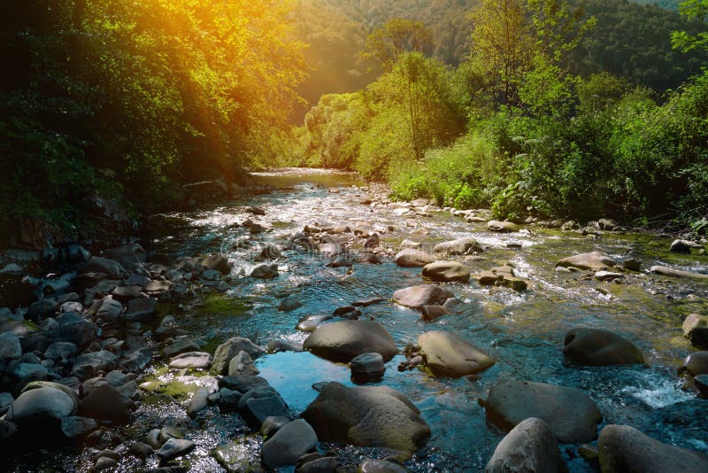 Beautiful Summer Landscape of Mountain River Running Down the Valley ...
