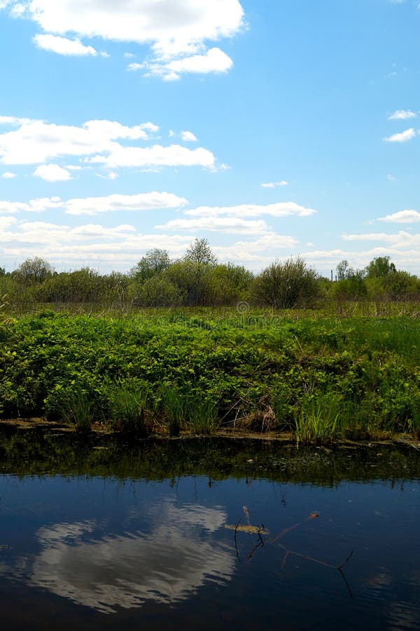 Beautiful Summer Landscape River Bank and Sky with White Clouds Stock ...