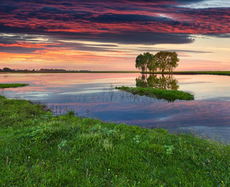 Beautiful Summer Landscape on River. Stock Image - Image of dawn, light ...