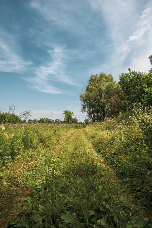 Beautiful Summer Landscape, Rural July Scenery Stock Image - Image of ...