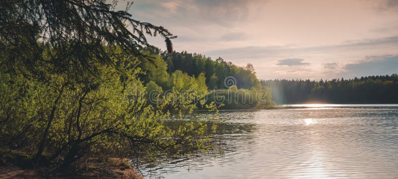 Beautiful Summer Landscape. Sunset Overlooking the Lake and Forest ...
