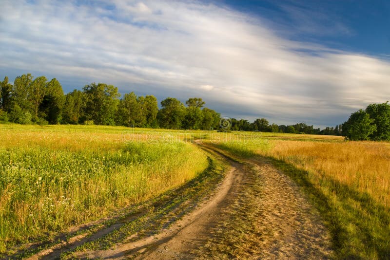 Beautiful Summer Meadow and Earth Road Stock Photo - Image of panorama ...