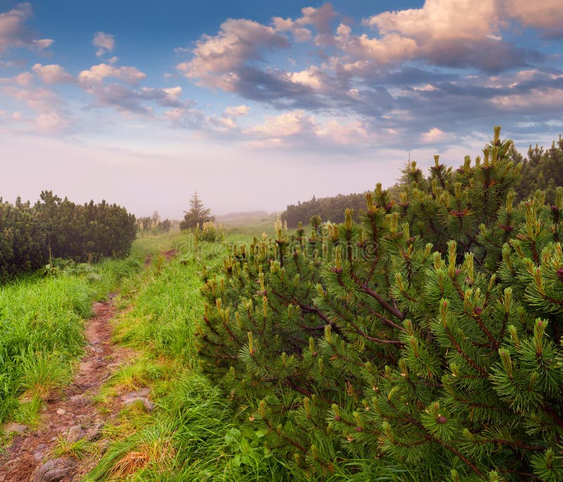 Beautiful summer morning stock photo. Image of highland - 20859438