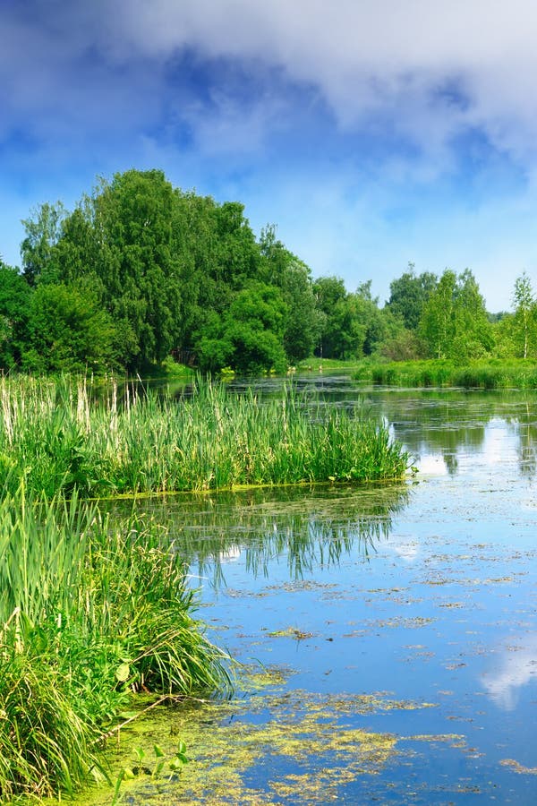 Beautiful Summer River Landscape Stock Image - Image of beautiful, land ...