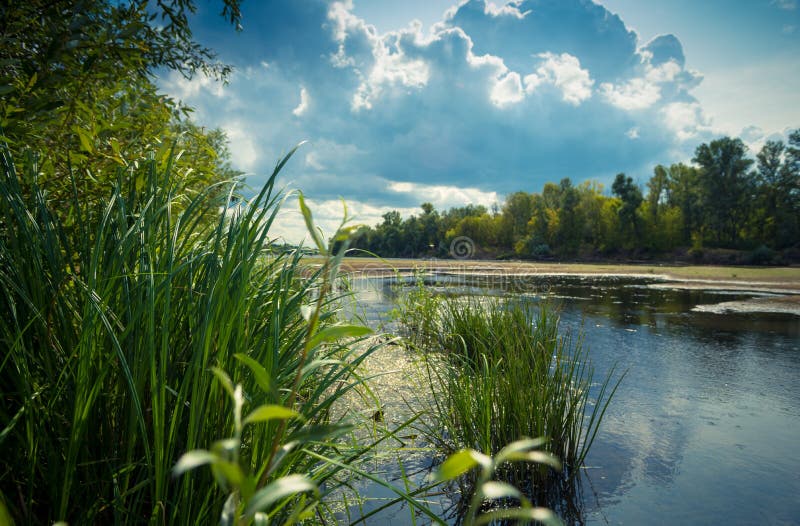 Beautiful Summer Riverside in the Evening Sunlight Stock Image - Image ...