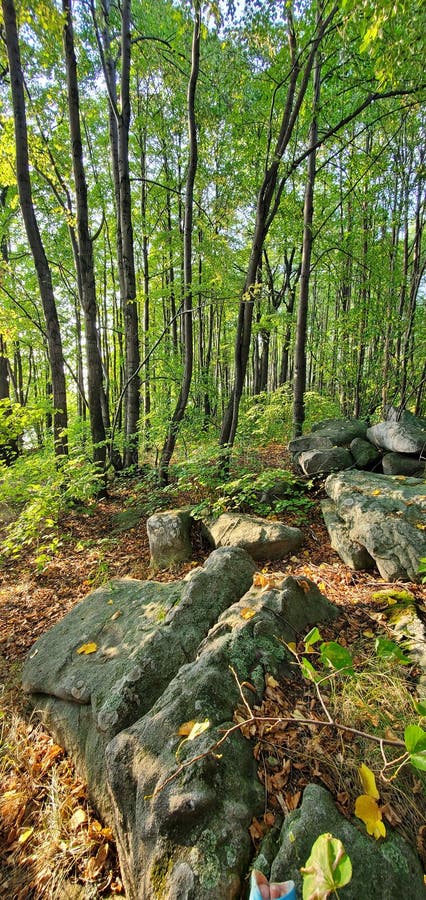 Beautiful summer and rock stock image. Image of soil - 224312423