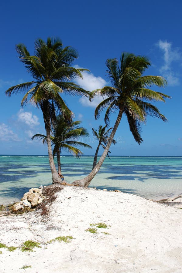 Beautiful summer scene stock image. Image of scene, landscape - 107157467