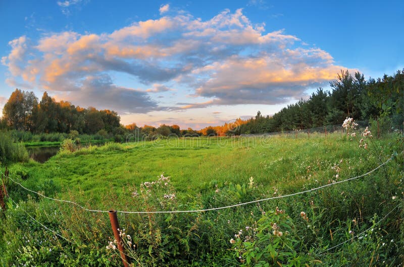 Beautiful summer sunset stock image. Image of trees, countryside - 23992983