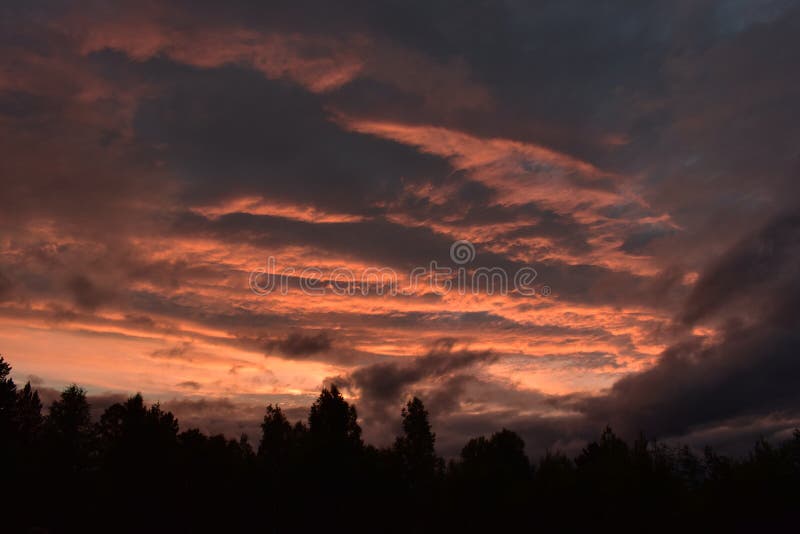 Beautiful Summer Sunset in the Forest Stock Image - Image of forest ...