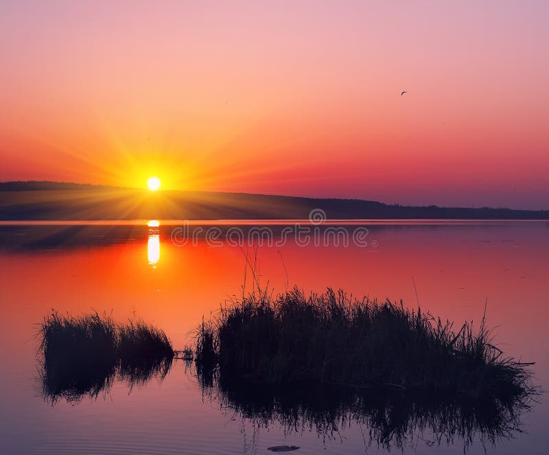 Beautiful Summer Sunset in the Lake Stock Photo - Image of idyllic ...