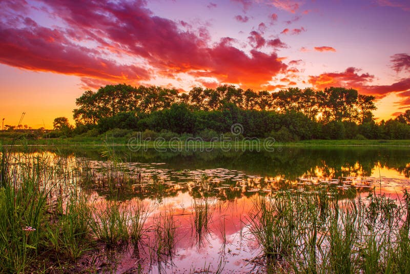 Beautiful summer sunset stock photo. Image of reflection - 212173472