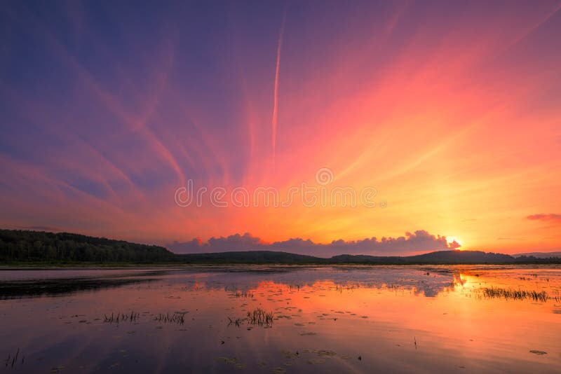 Beautiful Summer Sunset Over the Lake Stock Image - Image of coast ...