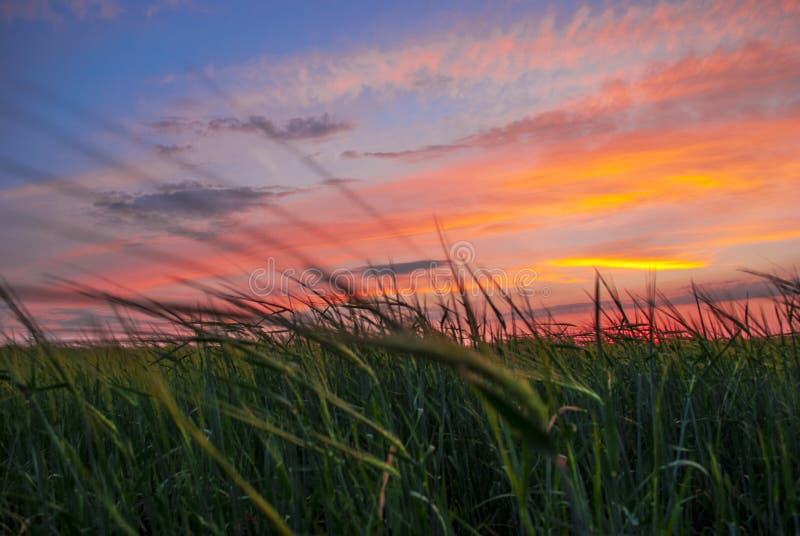 Beautiful Summer Sunset. Beautiful Sky.in the Countryside Stock Photo ...