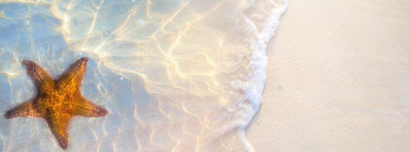 Beautiful Summer Tropical Vacation Sunny Sandy Beach Background Stock ...