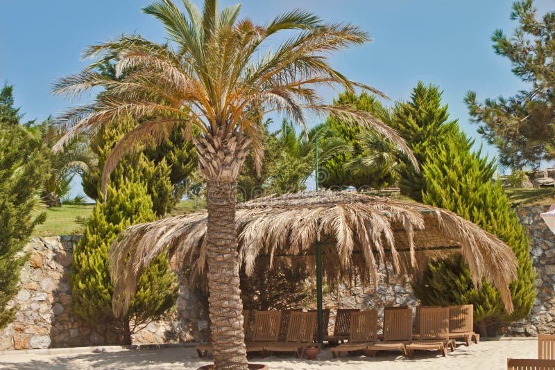 Beautiful Summer in Turkey stock photo. Image of green - 32538588