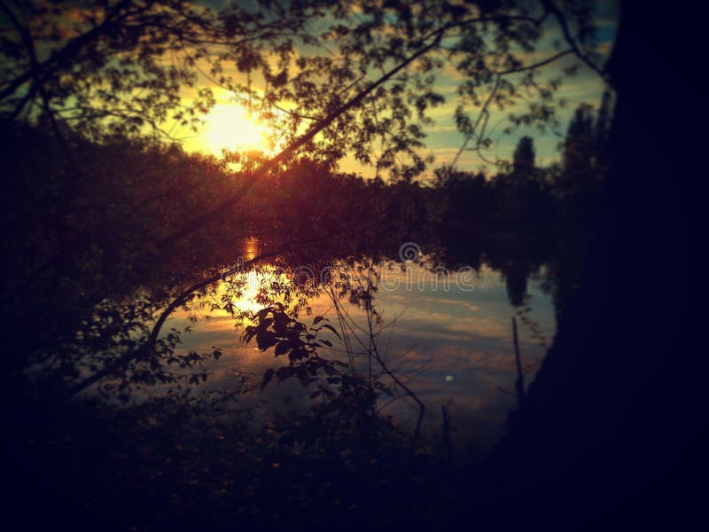 Beautiful sun mood stock image. Image of grass, beautiful - 152960031