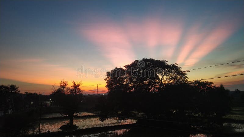 Beautiful Sun Originated from Back of Tree Stock Image - Image of ...