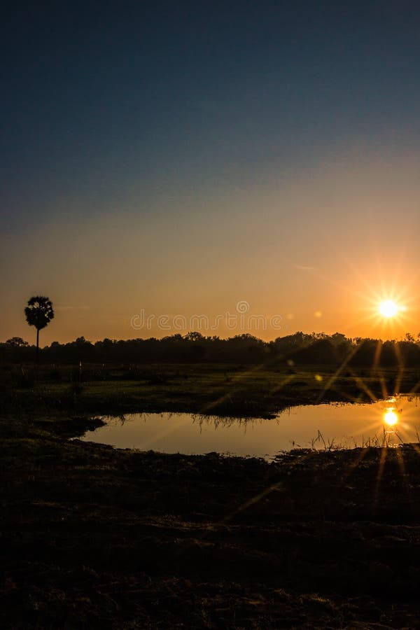 690 Rise Sri Stock Photos - Free & Royalty-Free Stock Photos from ...