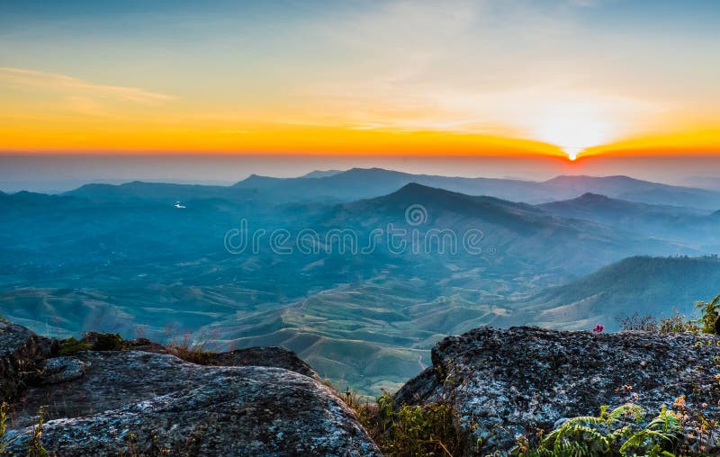 Sun rise stock image. Image of plants, sunny, beautiful - 99369439