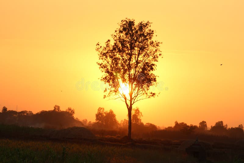 Beautiful Sun Rising from Amidst Stock Image - Image of beautiful ...