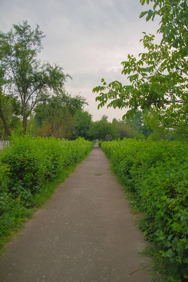Beautiful Sun Rising Sky at Road in Rural Stock Image - Image of ...