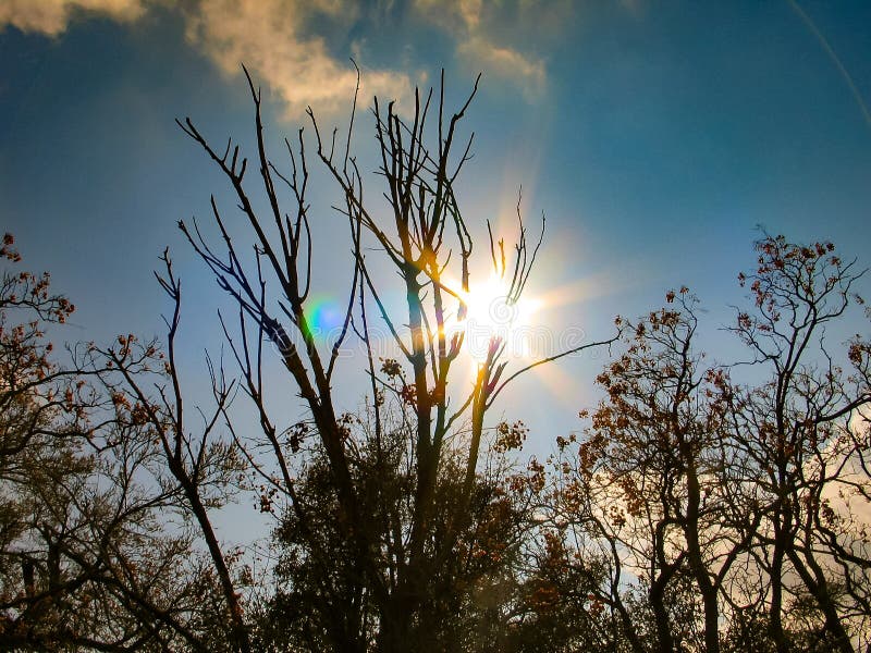 Big Bright Sun stock image. Image of bright, beautiful - 112080197